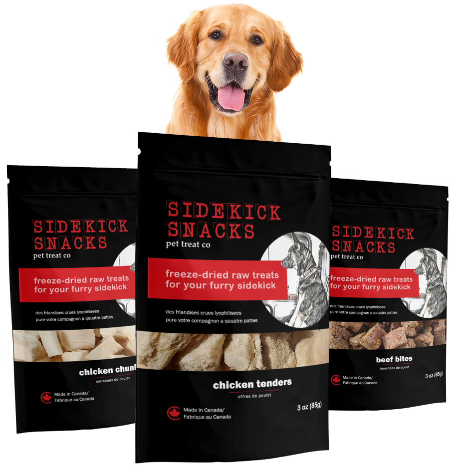 For Your Dog Sidekick – Sidekick Snacks